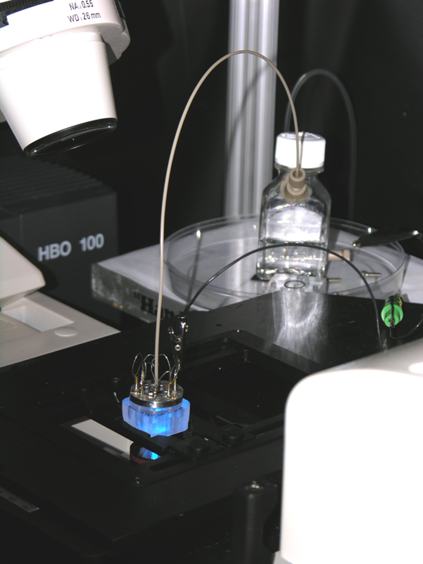 Public Domain Picture | Lab-On-A-Chip, GEMBE | ID: 13965732015116 ...