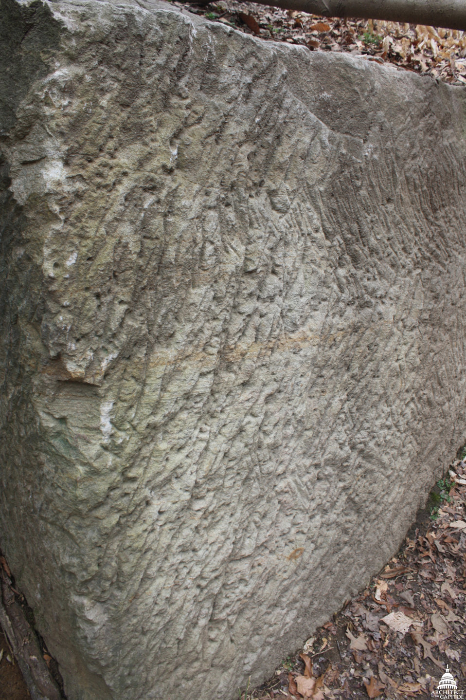 Tool Marks Geology