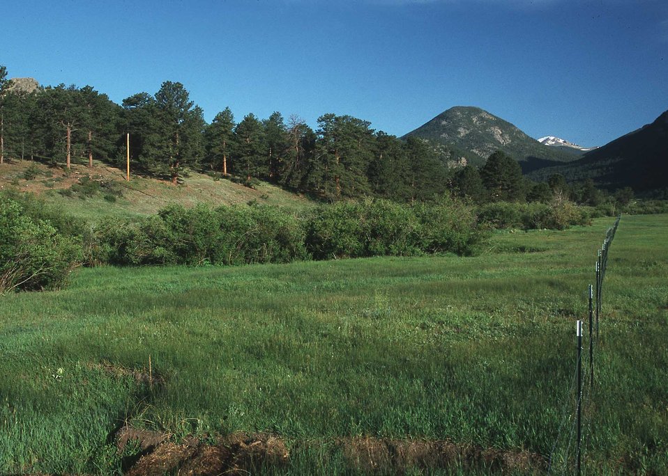 Public Domain Picture | Riparian Pasture-Spanish Peaks area, CO. | ID ...