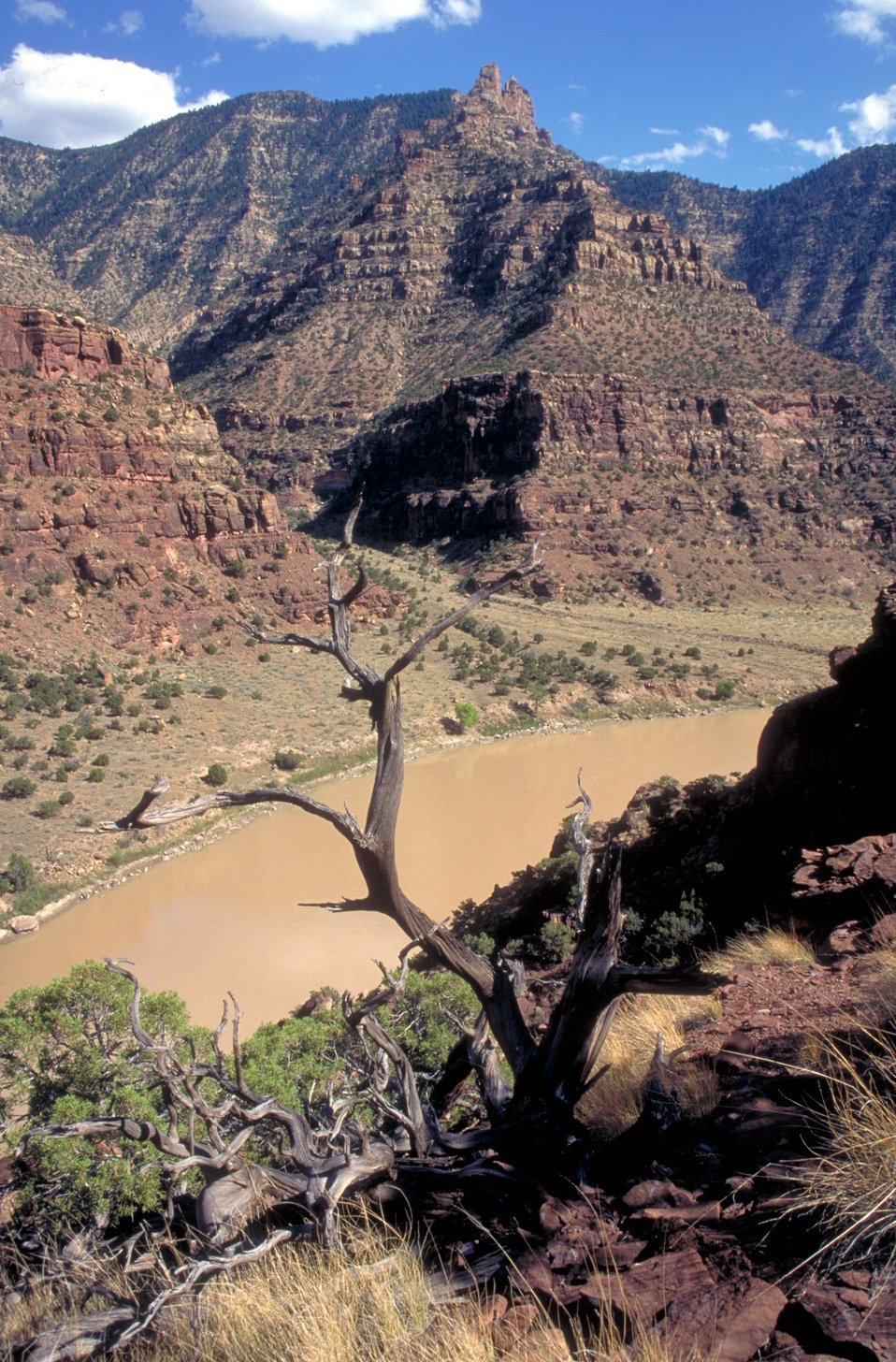 Public Domain Picture | Desolation/Gray Canyons near Price, Utah. | ID ...