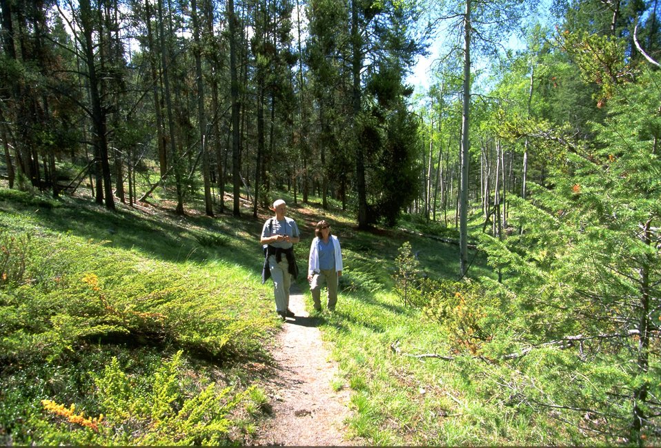 Public Domain Picture | People on a wilderness trail | ID ...