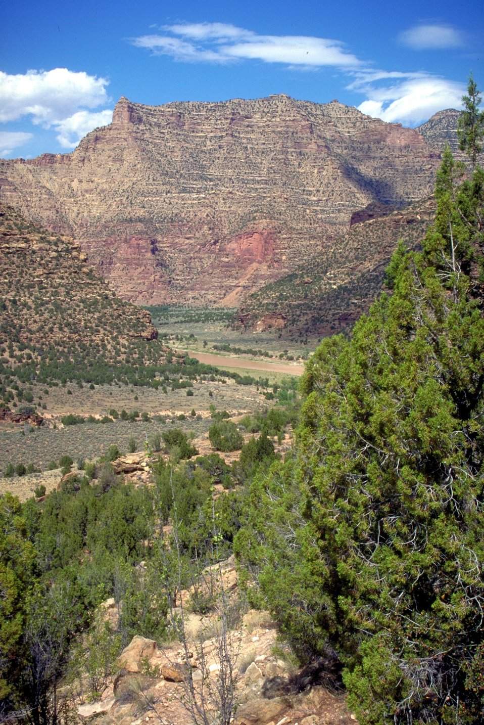 Public Domain Picture | Desolation/Gray Canyons near Price, Utah. | ID ...