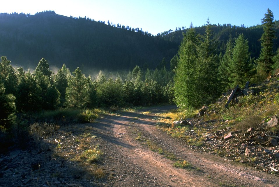 Public Domain Picture | Road to the Buffalo trail along the Blackfoot ...