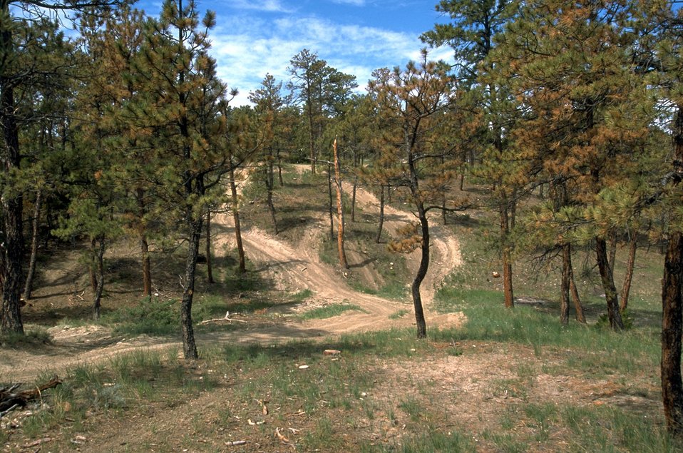 Public Domain Picture | Off highway Vehicle (OHV) trails in Area 1 of ...