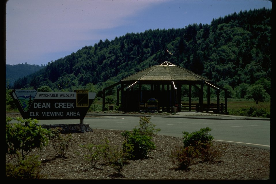 Public Domain Picture | Dean Creek elk viewing area. | ID ...