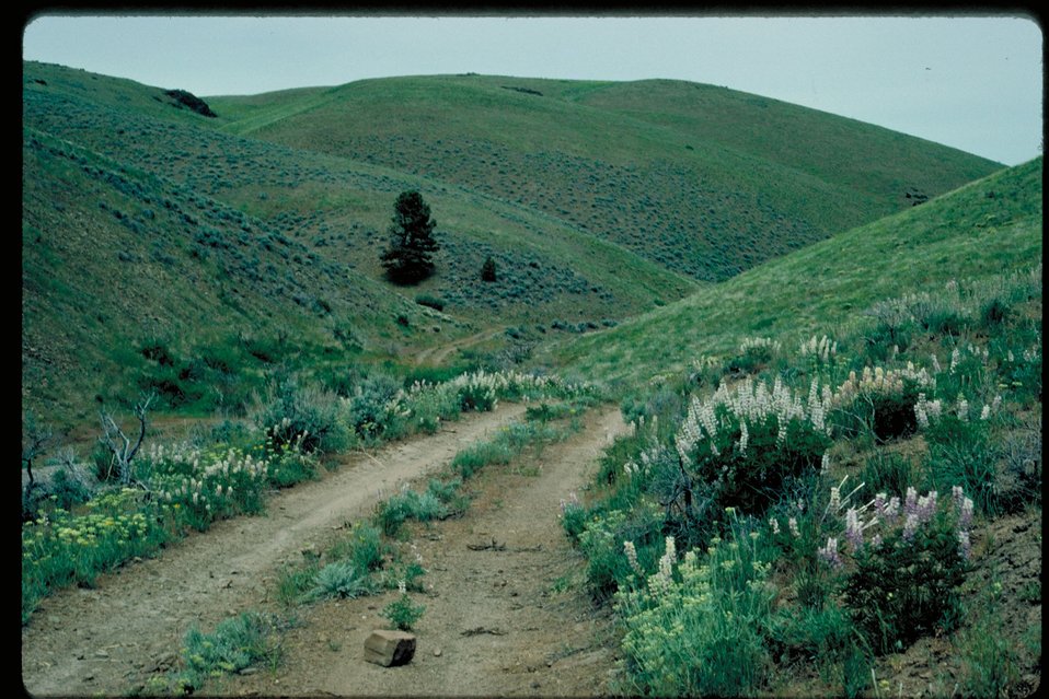 Public Domain Picture | Goodales Cutoff Crown Creek Oregon Trail Lower ...