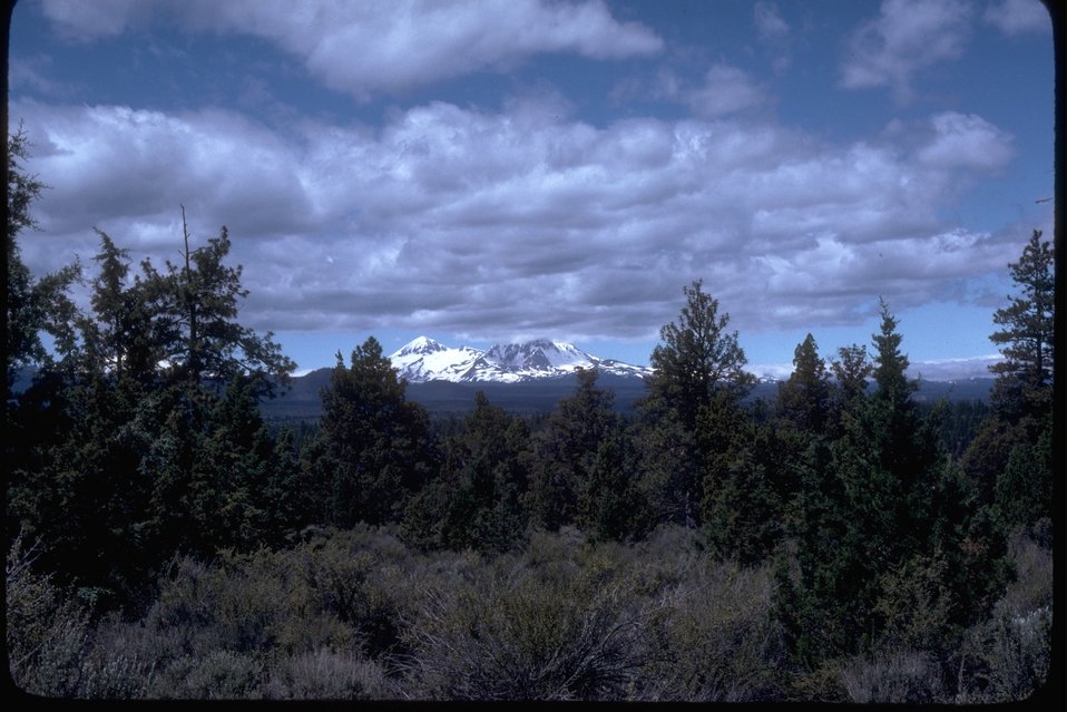 Public Domain Picture | Juniper invasion with Mount Jefferson in ...